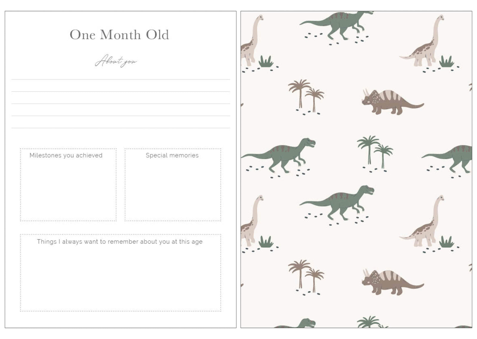 Dinosaur Baby Book - A newborn memory book for baby boys