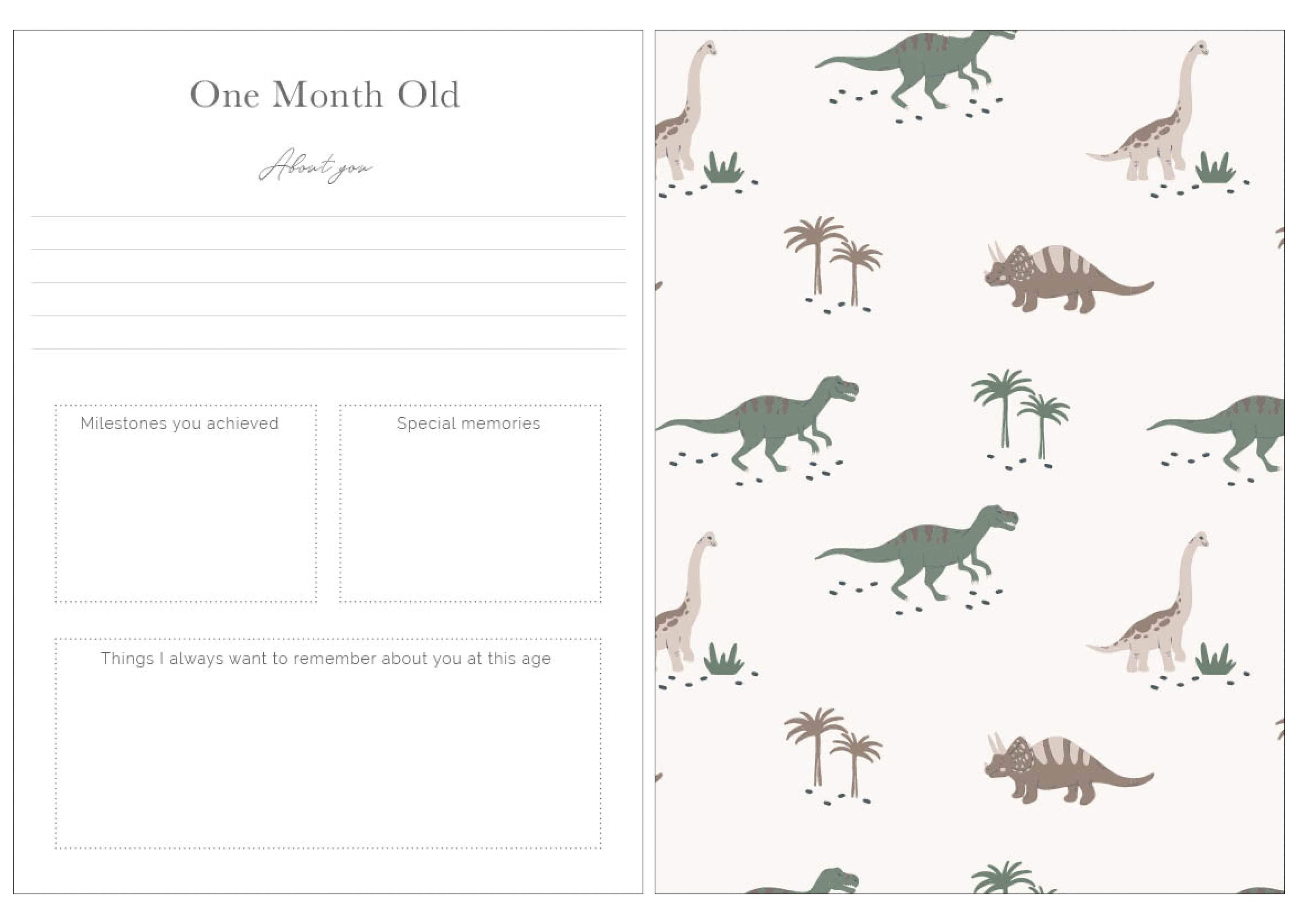 Dinosaur Baby Book - A newborn memory book for baby boys