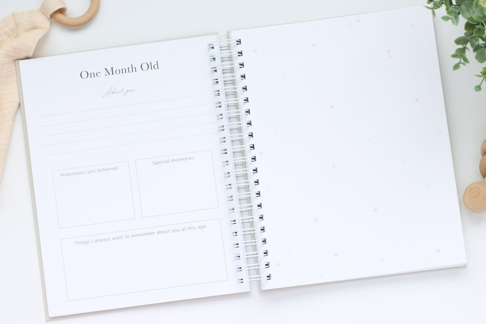 Up Up & Away Baby Book - A Gender Neutral Memory Book For Baby