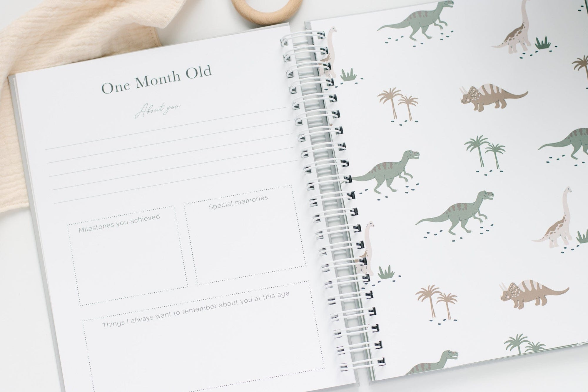 Dinosaur Baby Book - A newborn memory book for baby boys