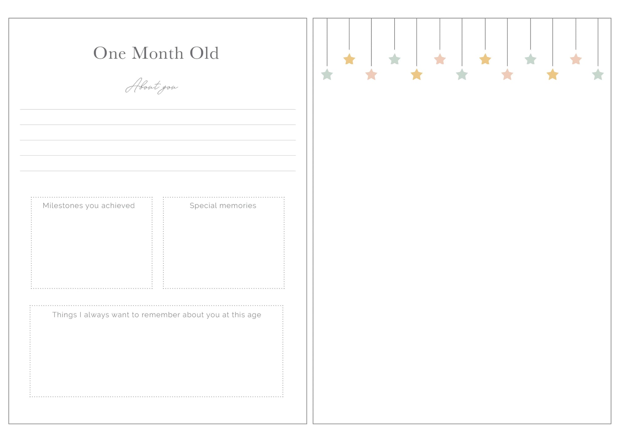 Little Love Baby Book